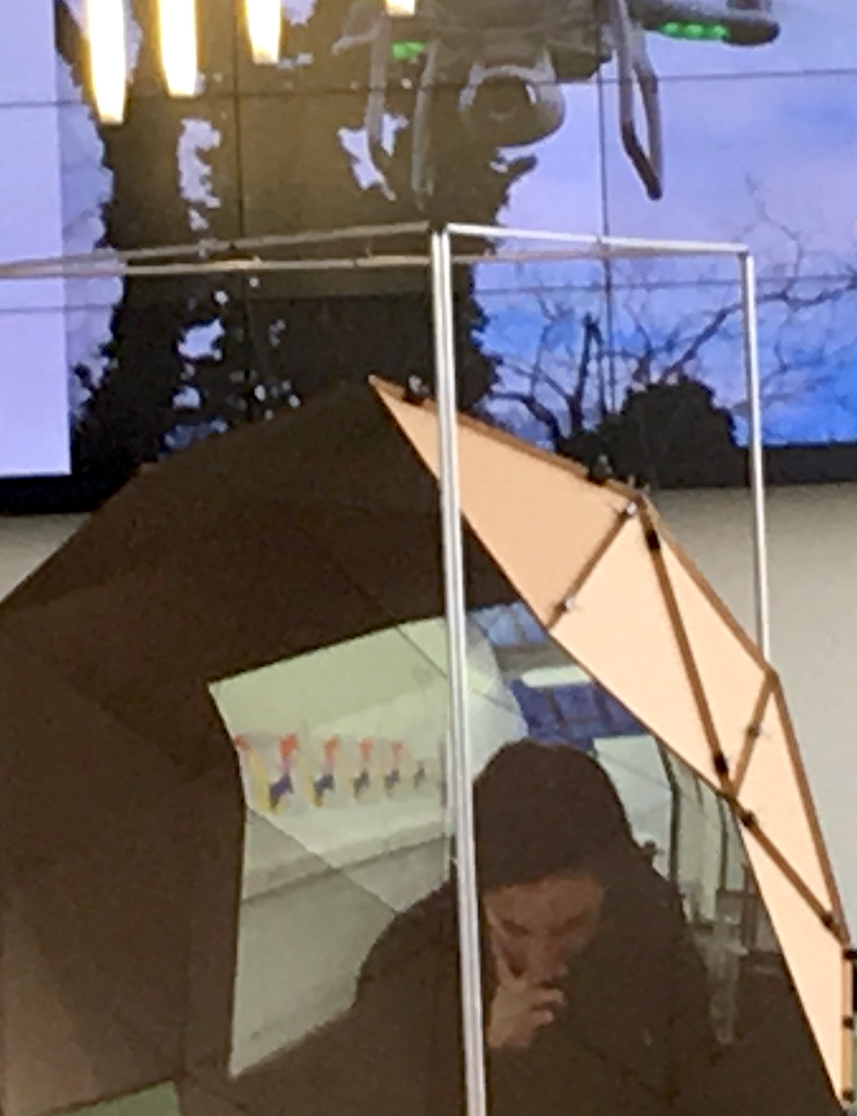 The Never Ending Project – dr Dolly Daou