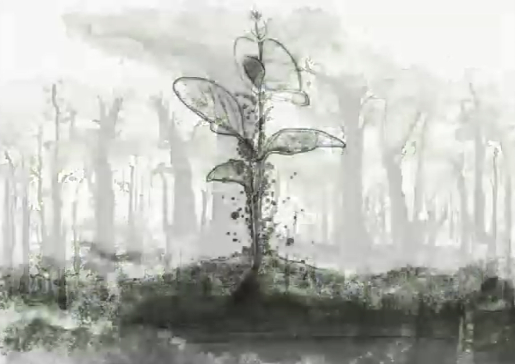 5 Elements West Lake – dr Dolly Daou